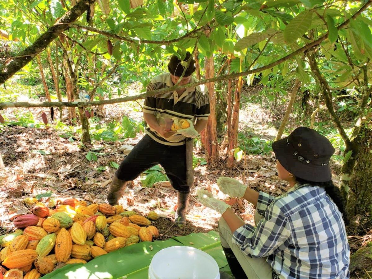 Republic of Trinidad and Tobago - Make Mine Fine