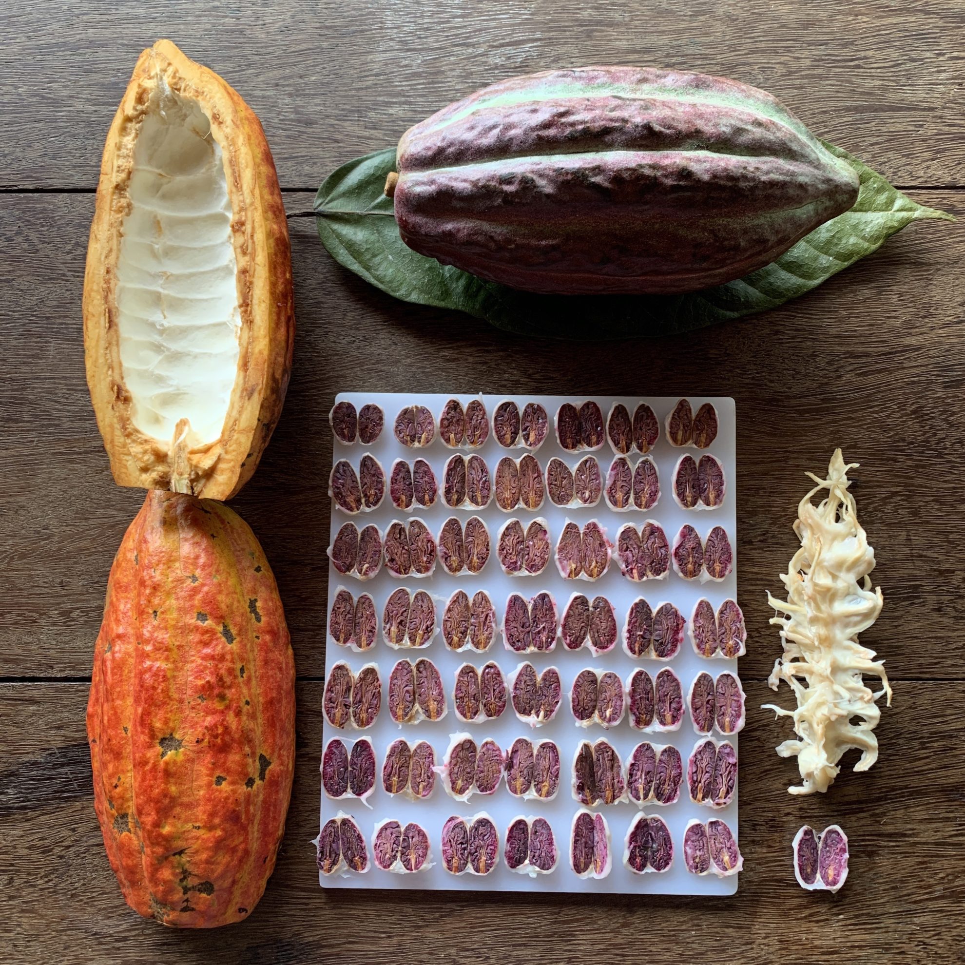 Brazil - Make Mine Fine